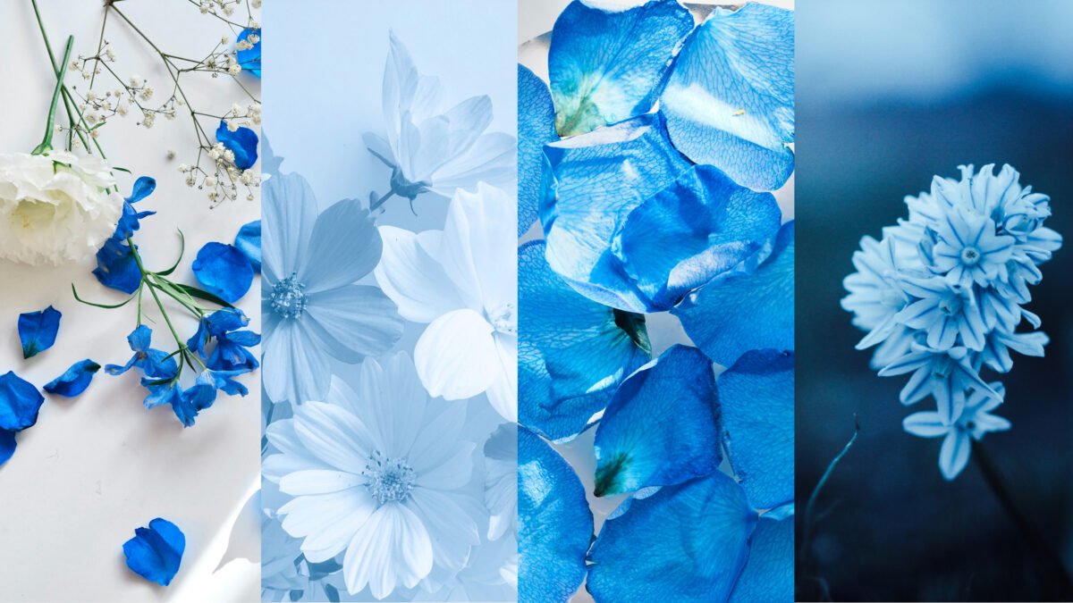 Blue Eyeshadow Is Back in 2026: Trends, Shades, and How to Wear It ...